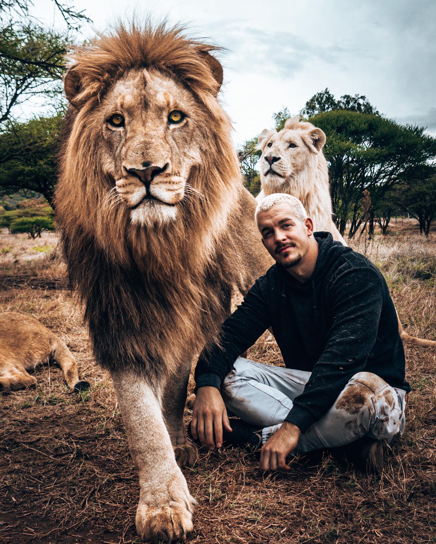 與獅子同行的型男Dean Schneider！放棄安穩工作隻身到非洲拯救野生動物擁抱猛獸 - JET.com.hk